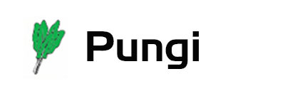 Pungi - Variety Ispanak | Syngenta Turkey