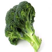 Monopoly - Variety Brassica | Syngenta Turkey