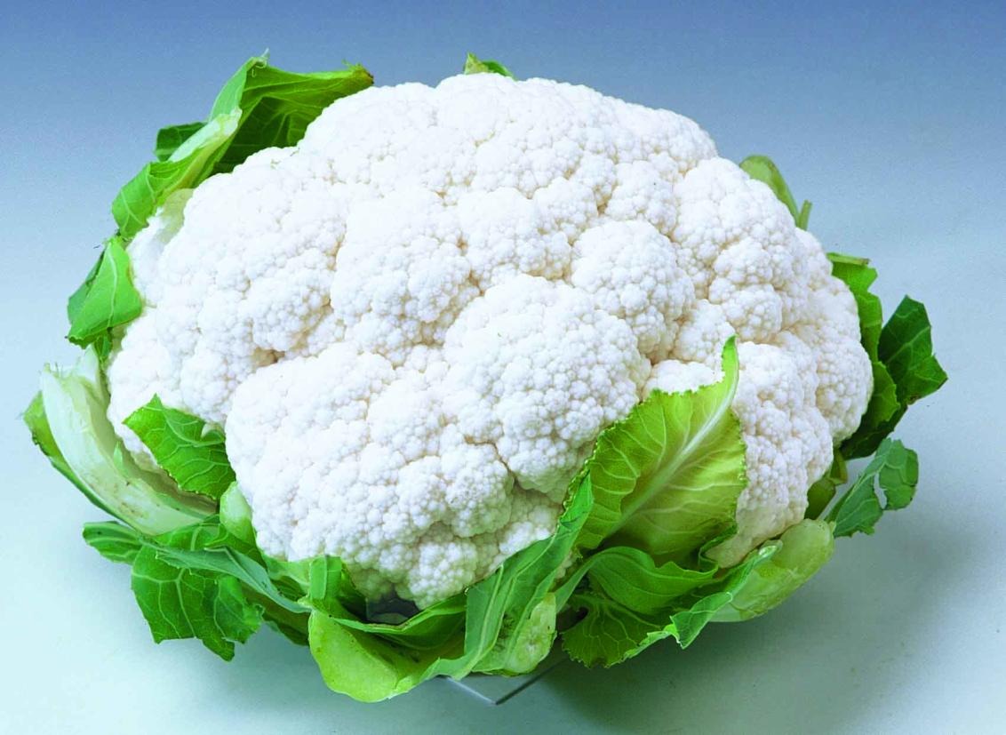 Charif - Variety Brassica | Syngenta Turkey
